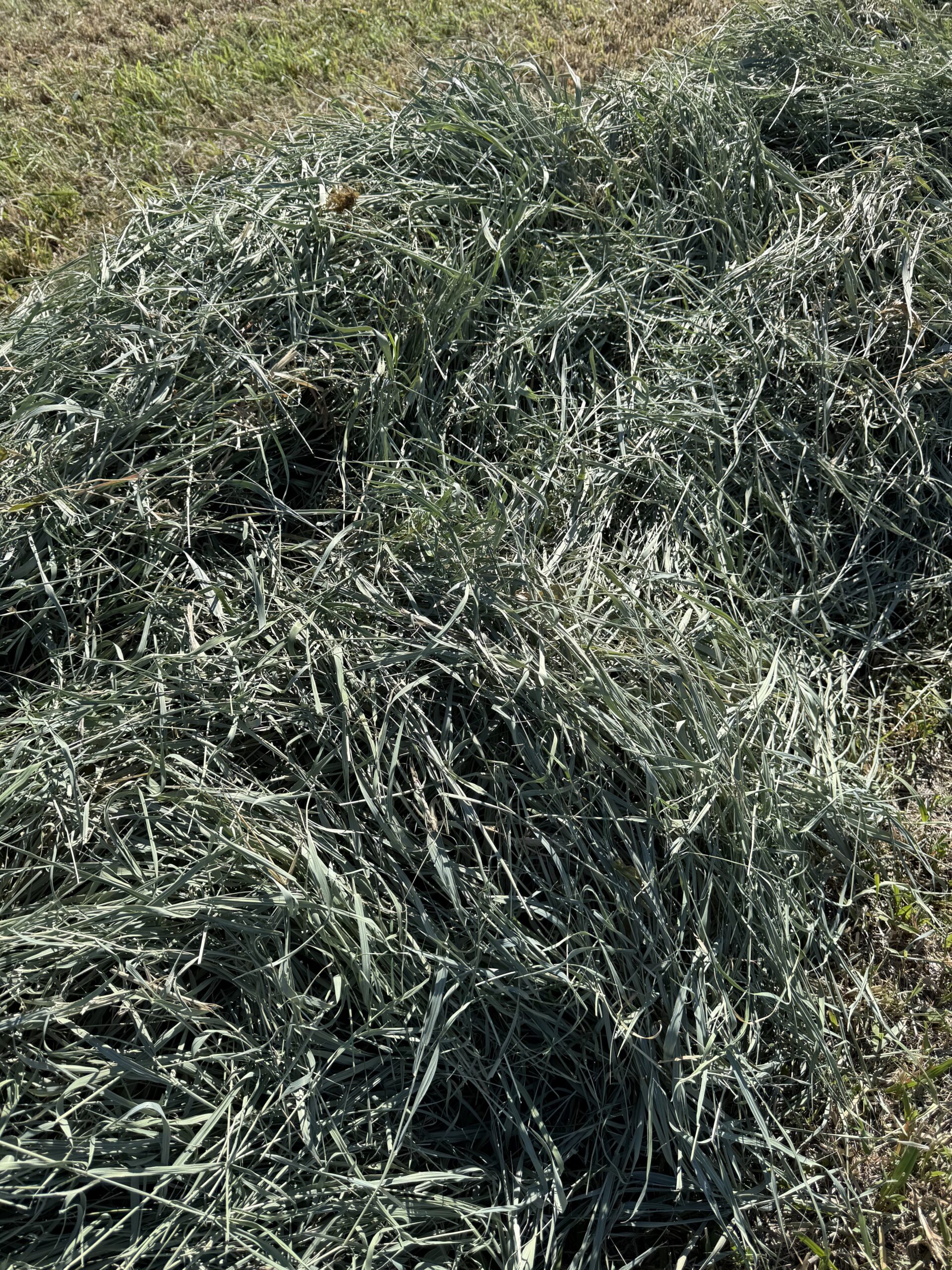 Homepage - KNIGHT HAY Alfalfa & Grass Hay BUNDLES